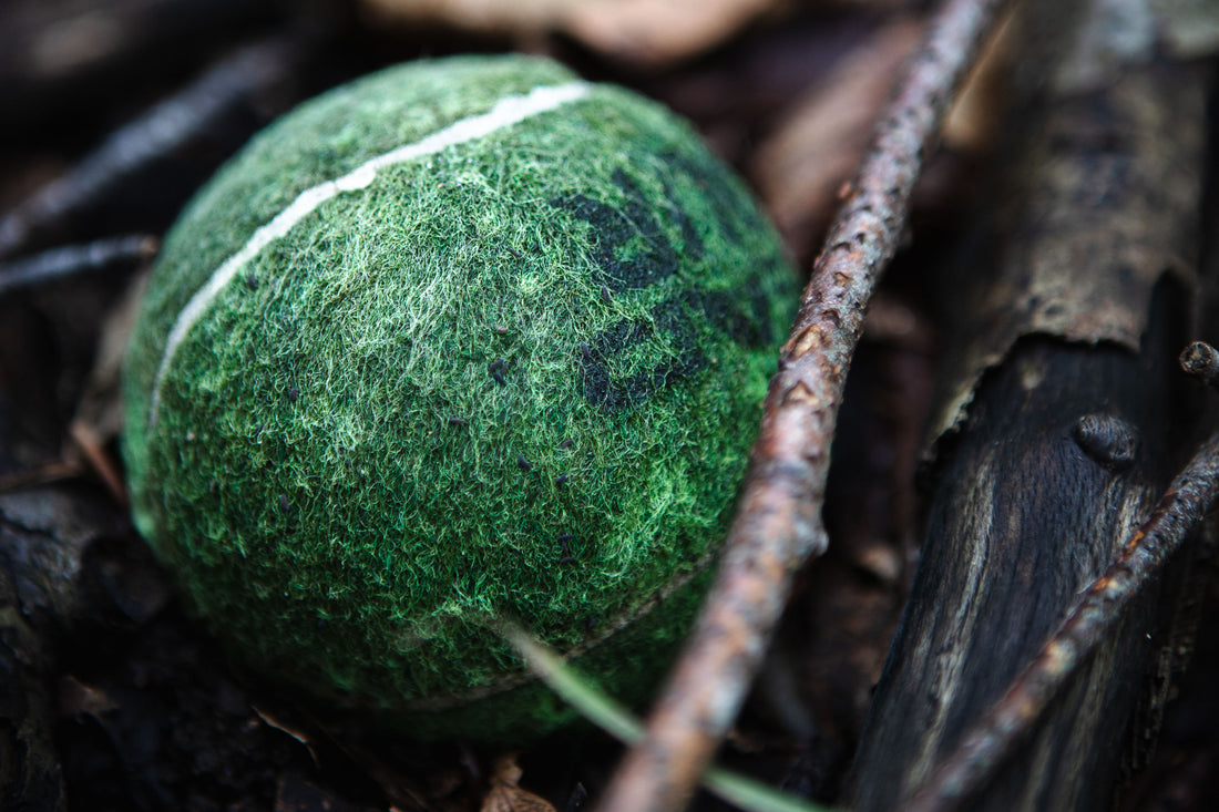 Renewaball - the 1st circular tennis ball